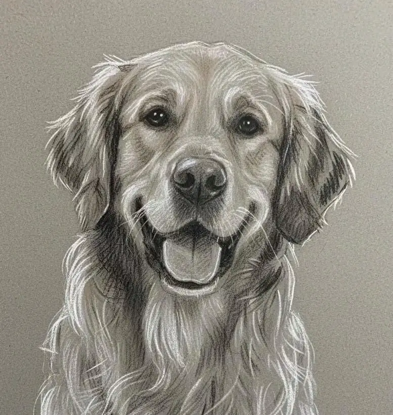 How To Draw Your Pet – The Art Gallery at Congdon Yards